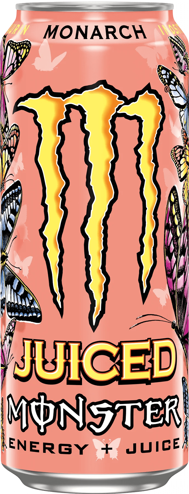 Monster Energy Lando Norris I Dosenmatrosen.de